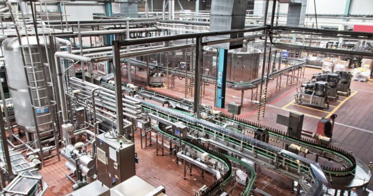 Palletizers Are Transforming Food & Beverage Manufacturing